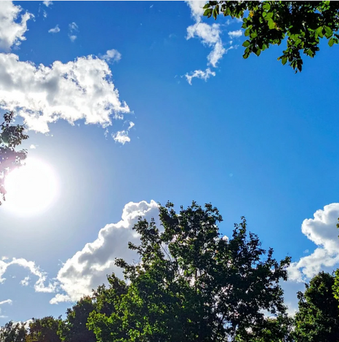 K-2 Investigating Weather – KRB Curriculum Design